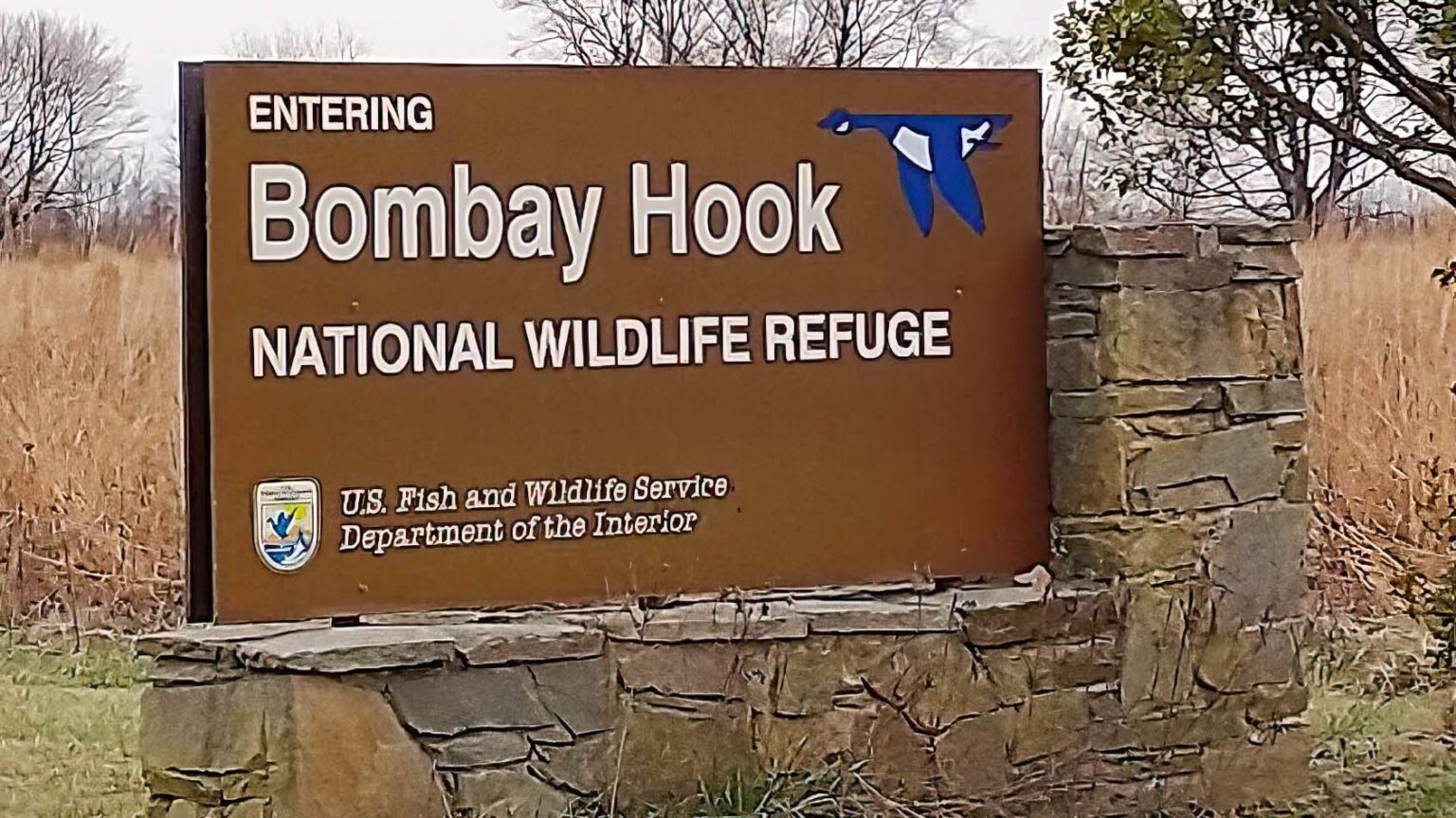 Refuge Tour - Friends of Bombay Hook